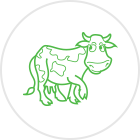 Equitak Excel 30g Green – Animal Stuff