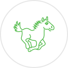 Calcimate Poultry Grit – Animal Stuff