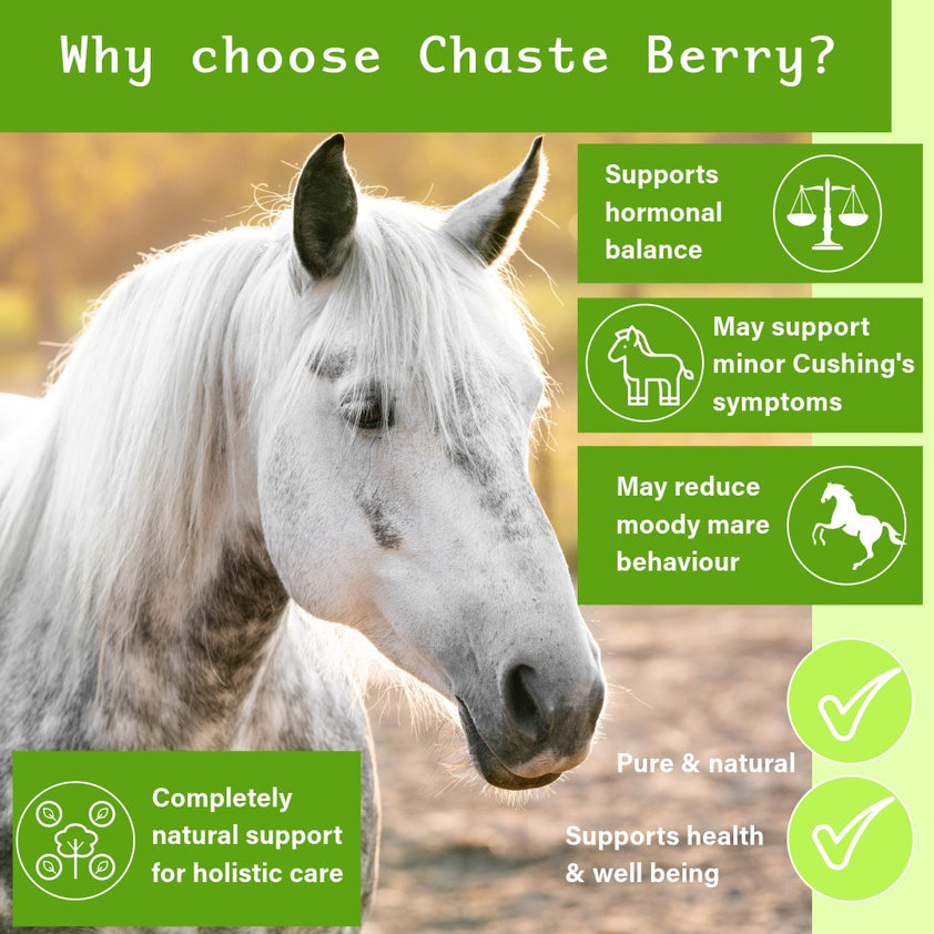 Chaste Berry 1kg – Animal Stuff