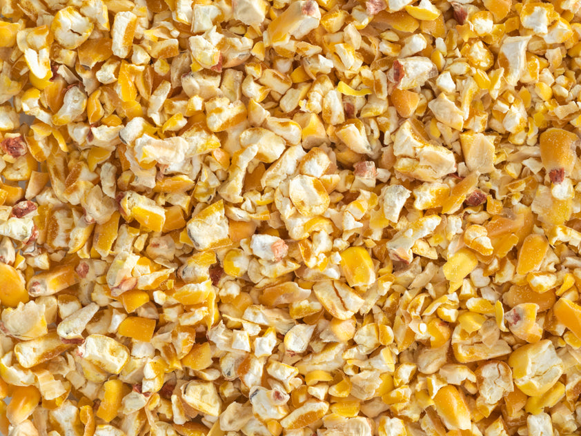 Kibbled Maize 20kg – Animal Stuff